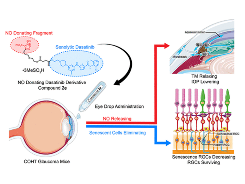 Identification of Nitric Oxide Donating Dasatinib Derivatives with ...
